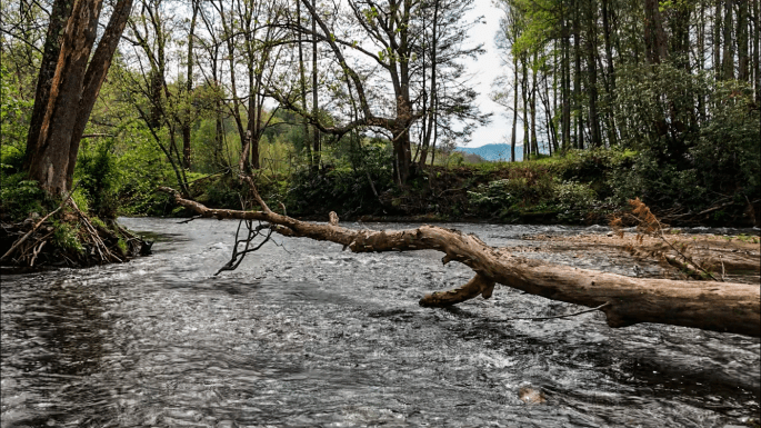 Fly Fishing the South Toe River – Parker Outside